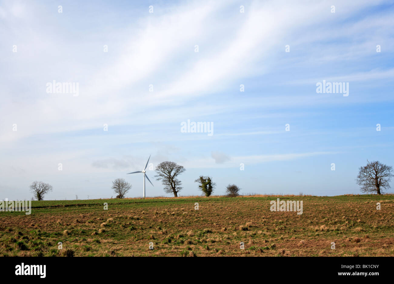 Trees and wind turbine blades hi-res stock photography and images - Alamy