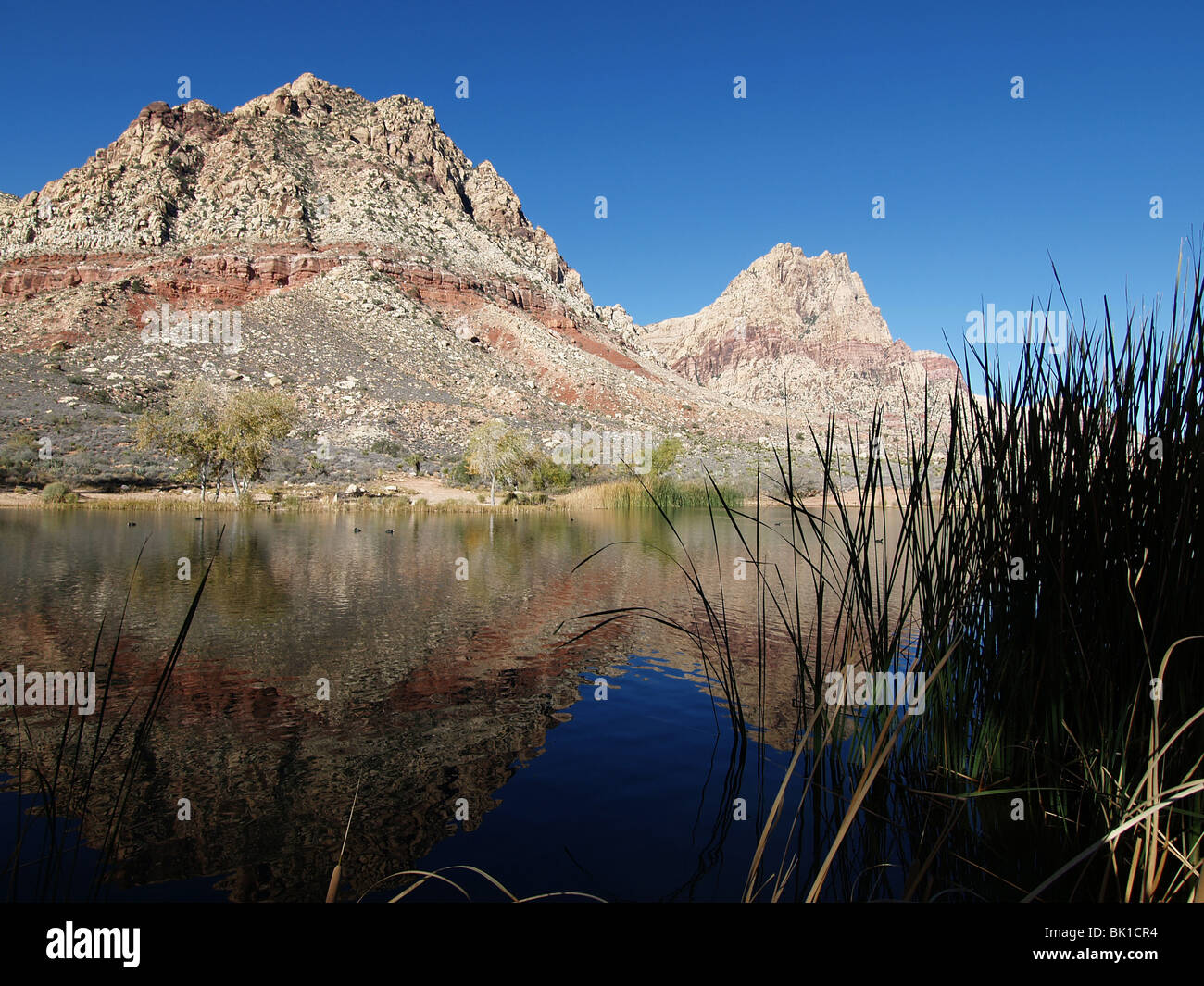 Spring fed pond hi-res stock photography and images - Alamy
