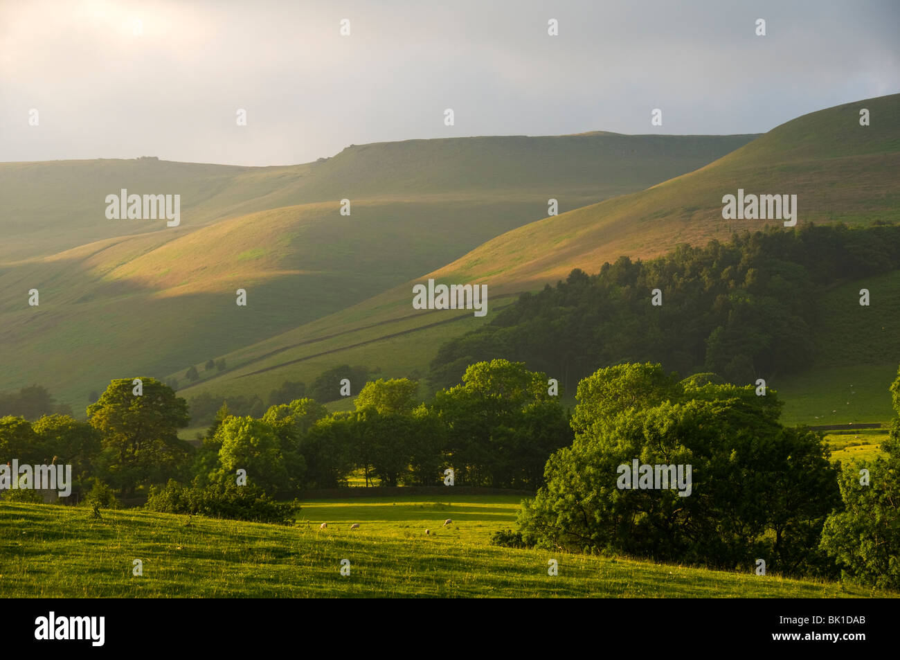 Evening light on Crowden Brook, below the Kinder Scout plateau, Edale ...