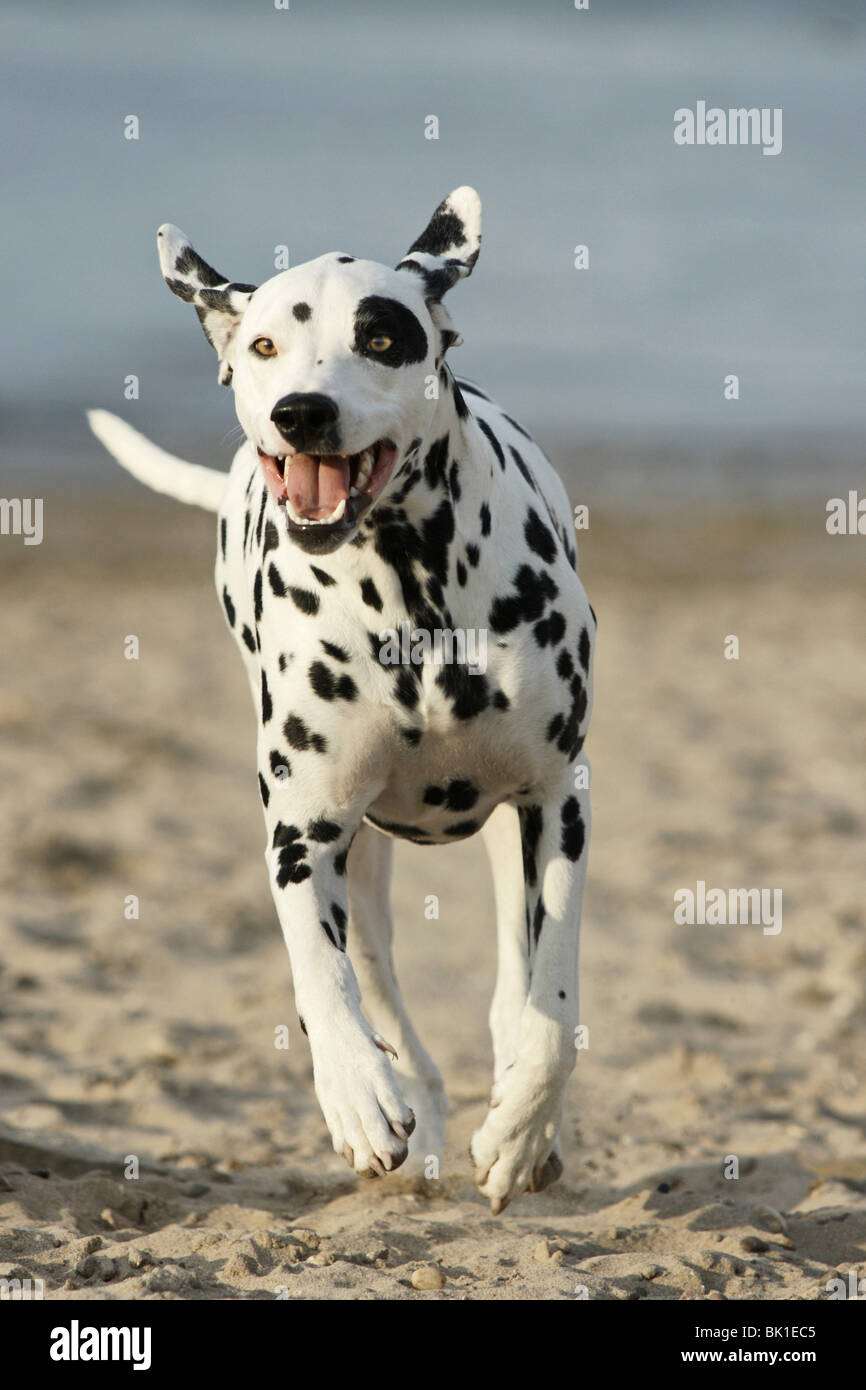 Spotty pants hi-res stock photography and images - Alamy