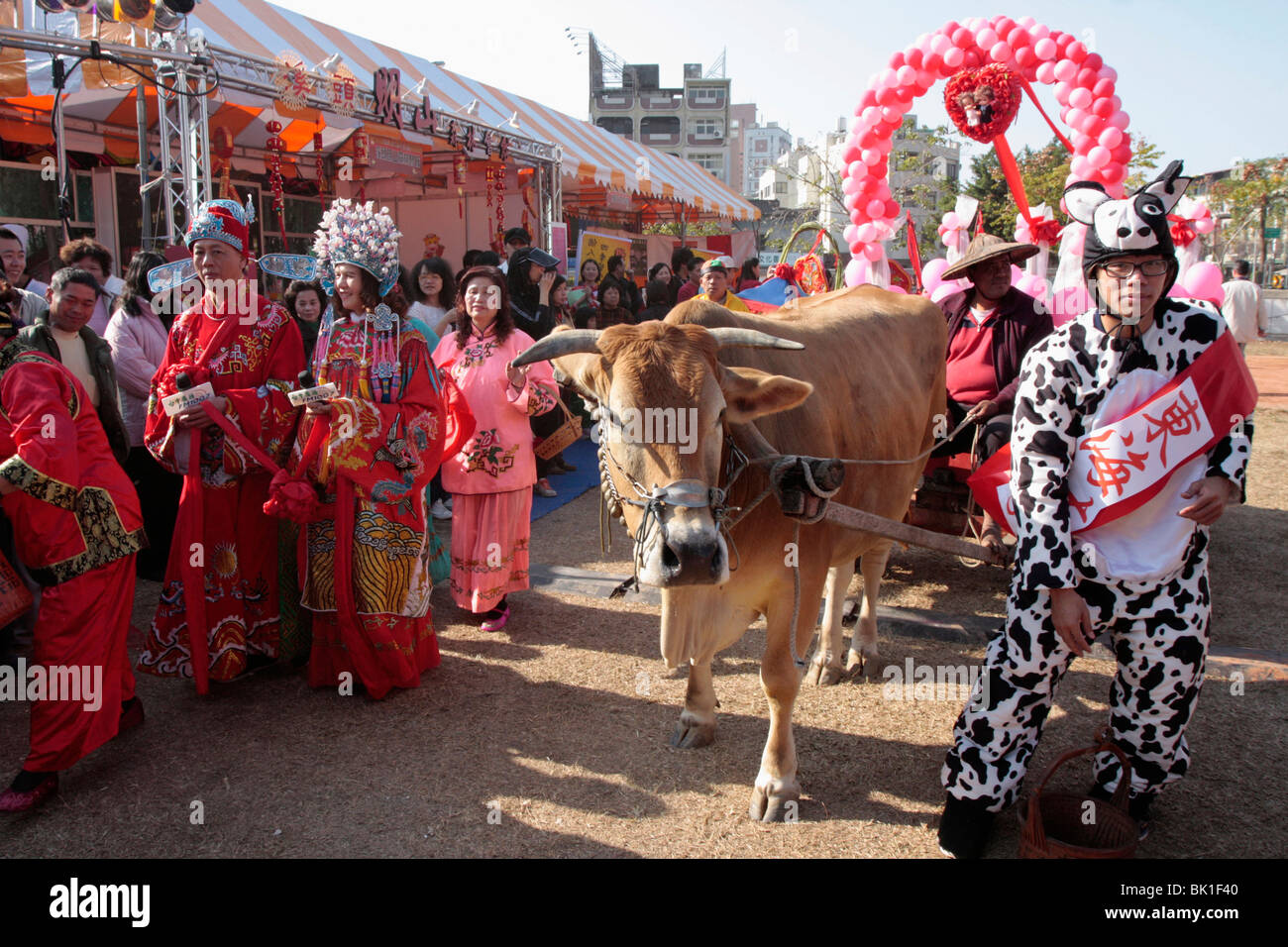 Cow carriage shows for the celebration of Chinese New Year Stock Photo ...
