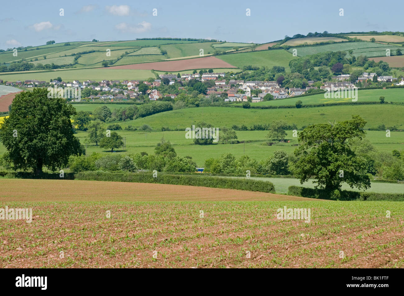 Looking across the Culm Valley towards the central Devon town of ...