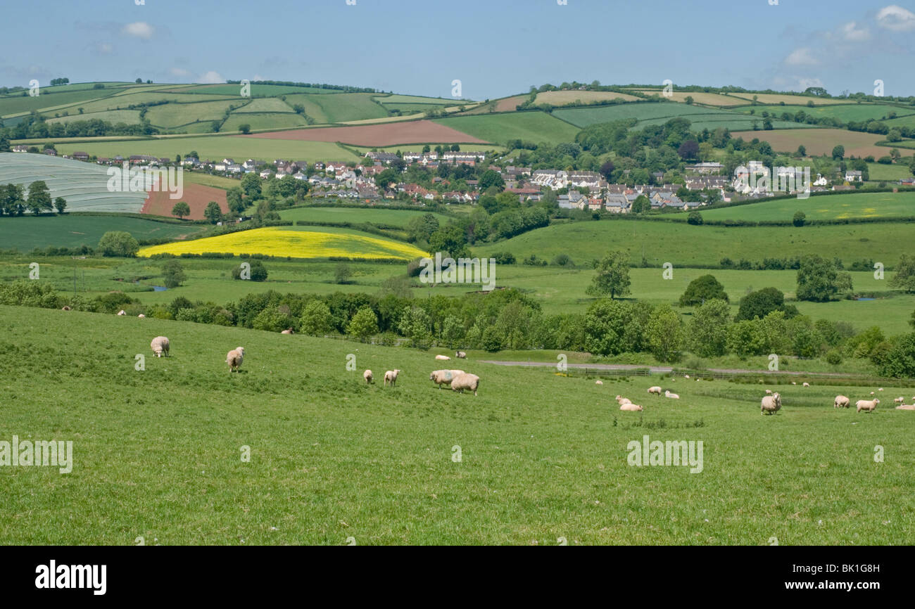 River culm culm valley devon hi-res stock photography and images - Alamy