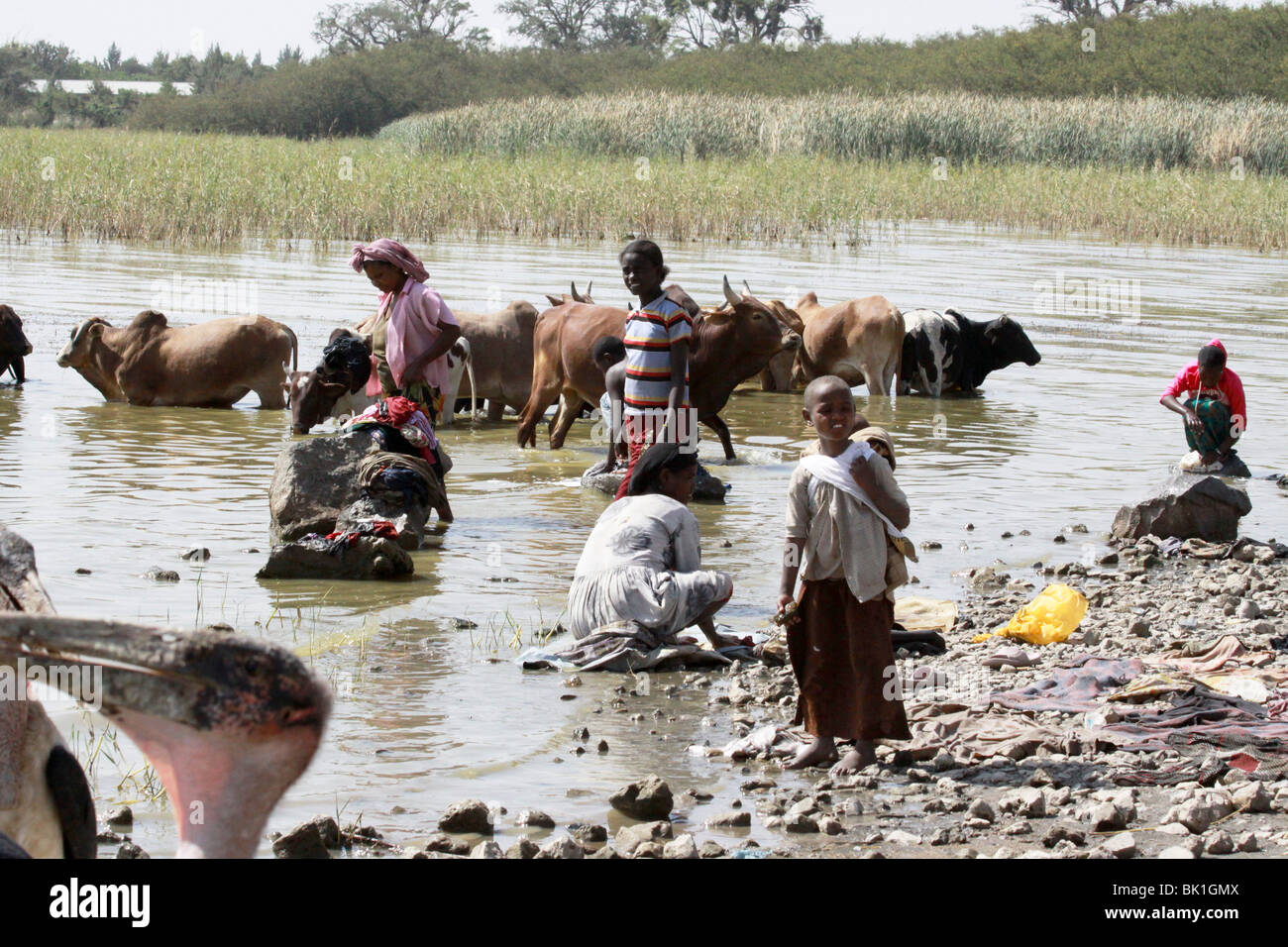 River washing ethiopia hi-res stock photography and images - Alamy