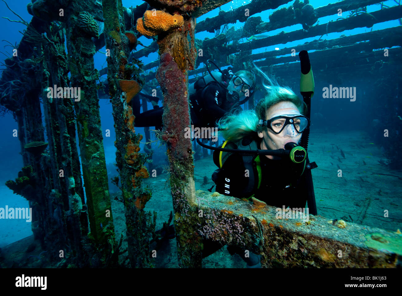 Divers on shipwreck Stock Photo - Alamy