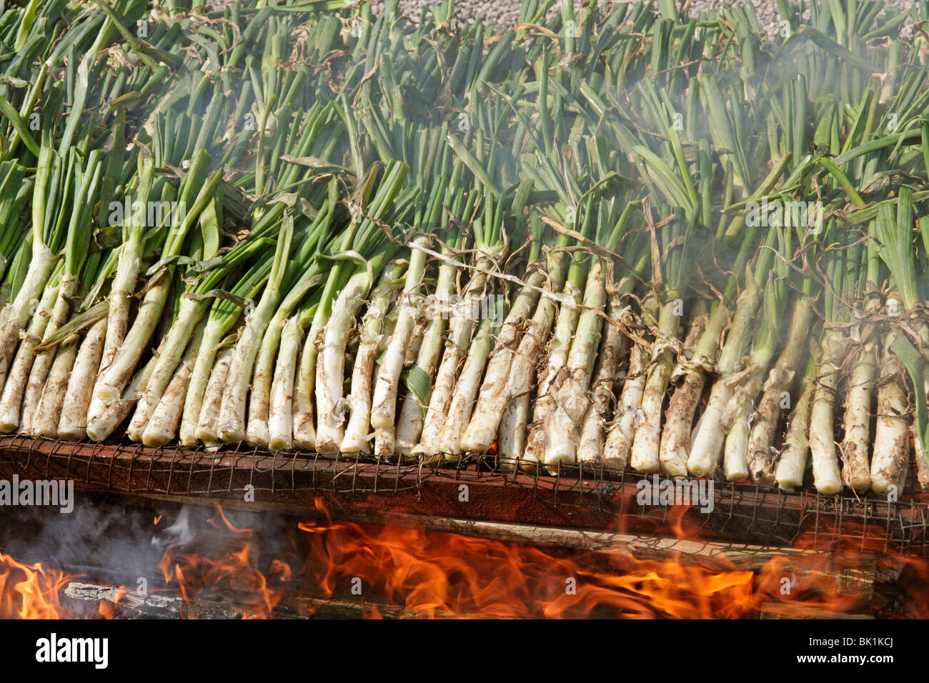 "Calçots" preparation. Typical meal in Catalonia, Spain. They are a ...