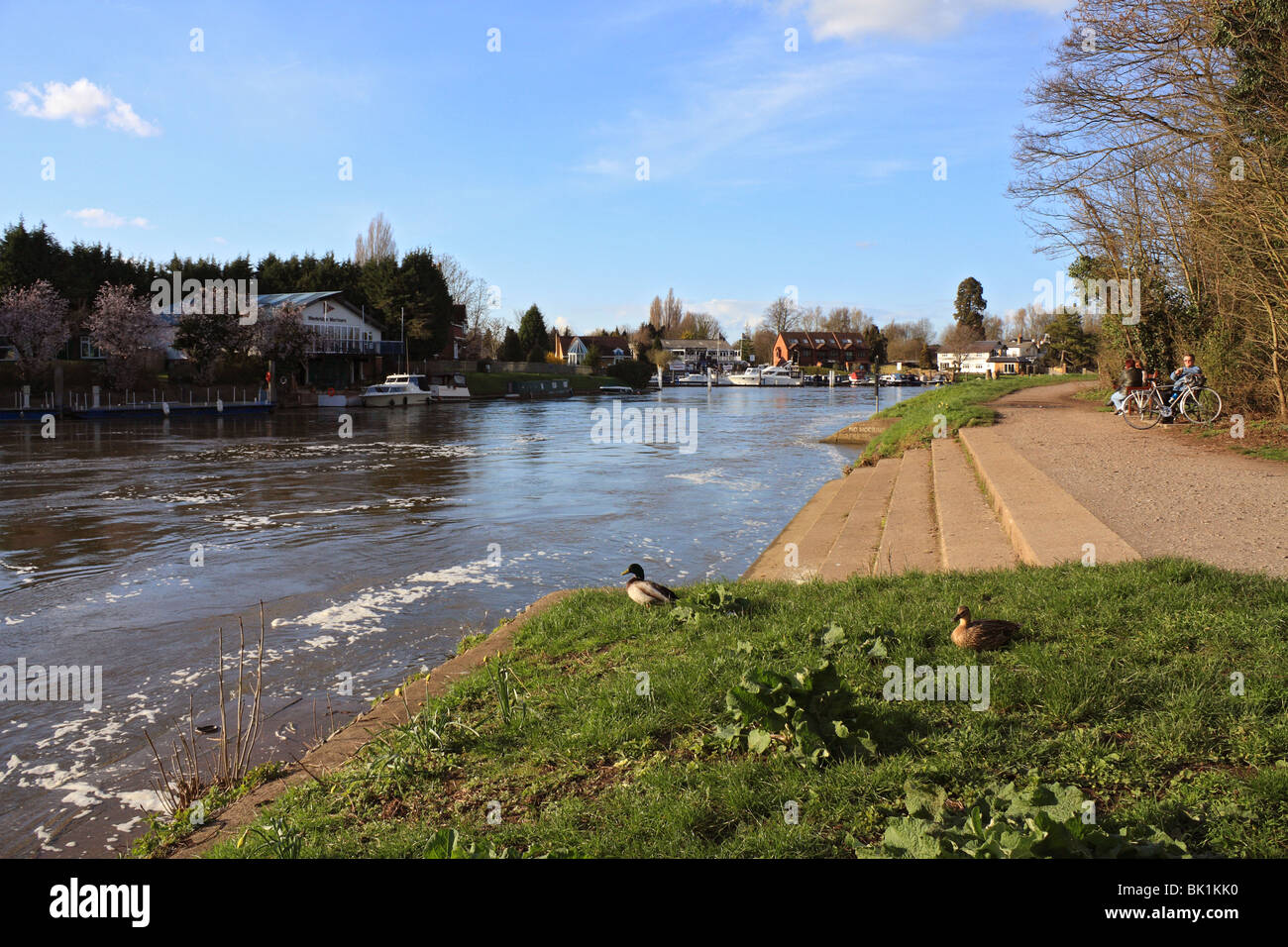 River Wey Navigation, Canal and River system, at Weybridge, Surrey ...