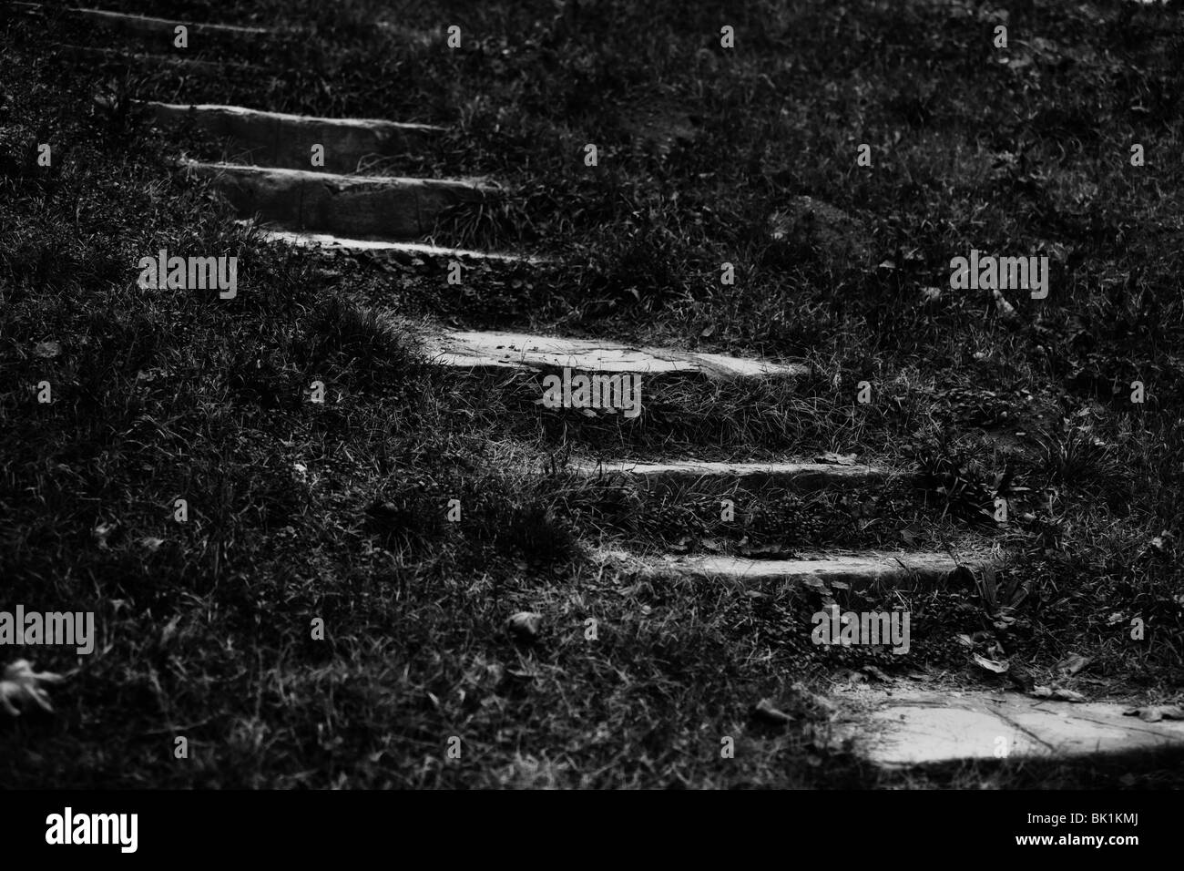 Step path Black and White Stock Photos & Images - Alamy