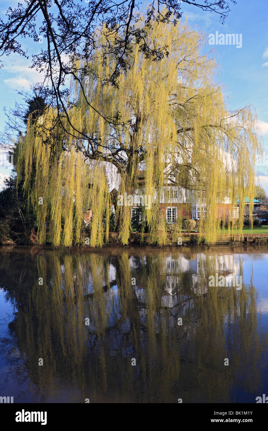 River Wey Navigation, Canal and River system, at Weybridge, Surrey ...