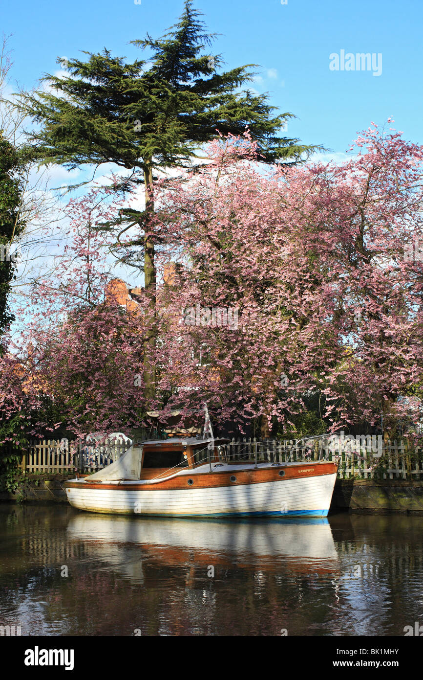 River Wey Navigation, Canal and River system, at Weybridge, Surrey ...
