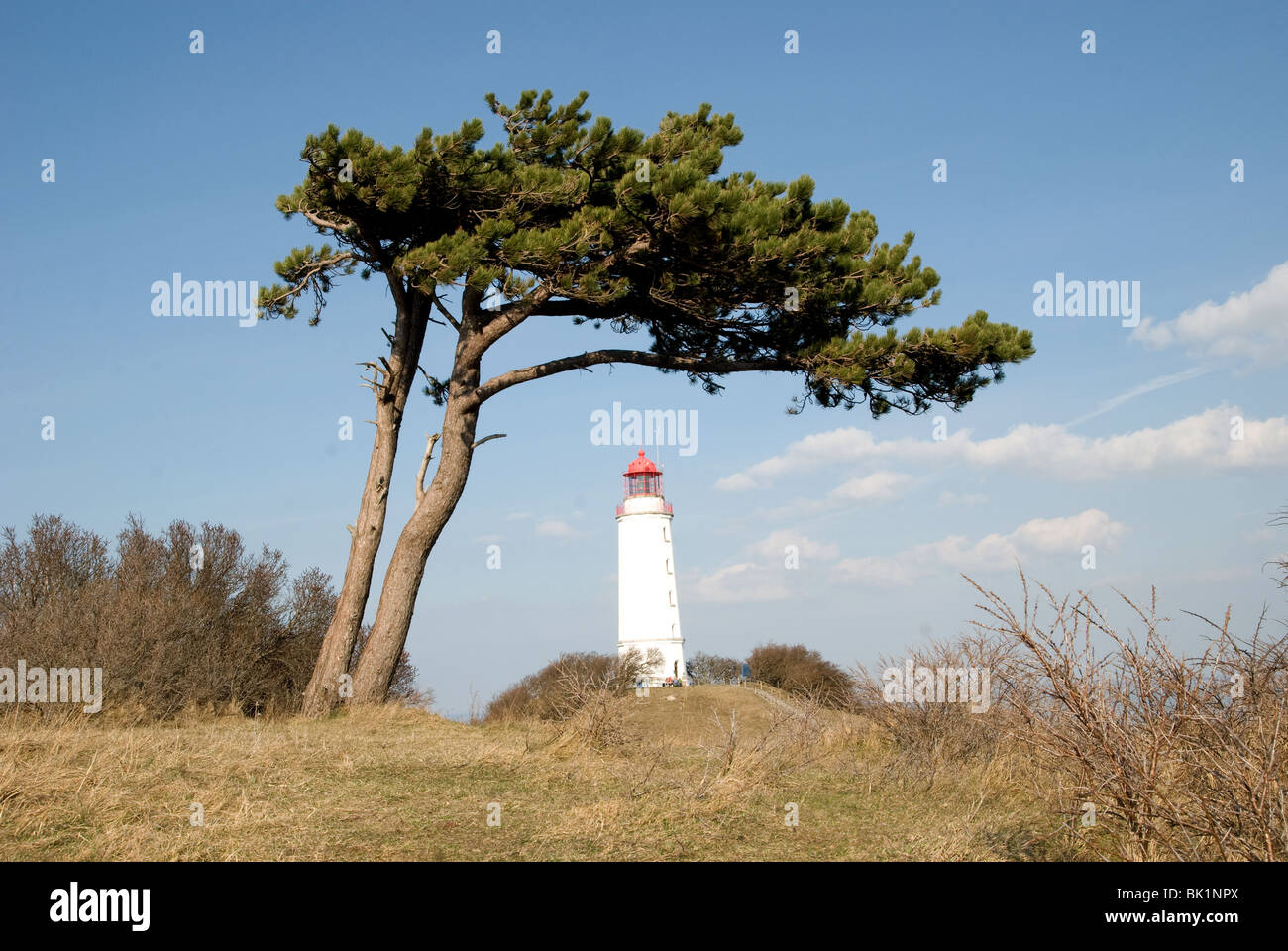 Hiddensee Insel High Resolution Stock Photography and Images - Alamy