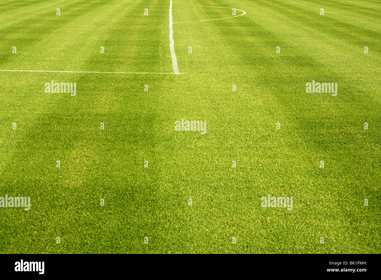 Area white lines on football green grass field Stock Photo - Alamy