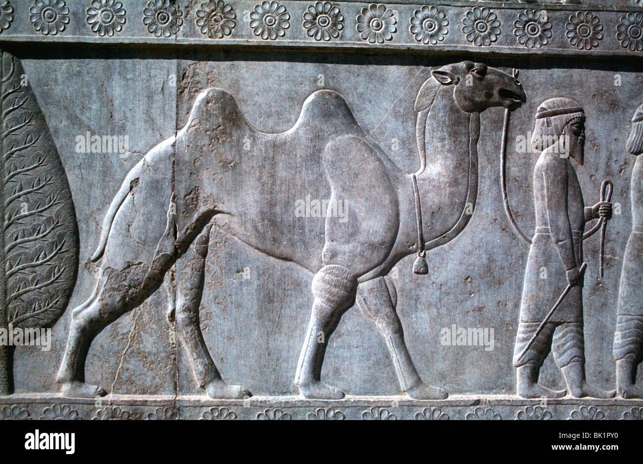 Relief of Parthians, the Apadana, Persepolis, Iran Stock Photo - Alamy