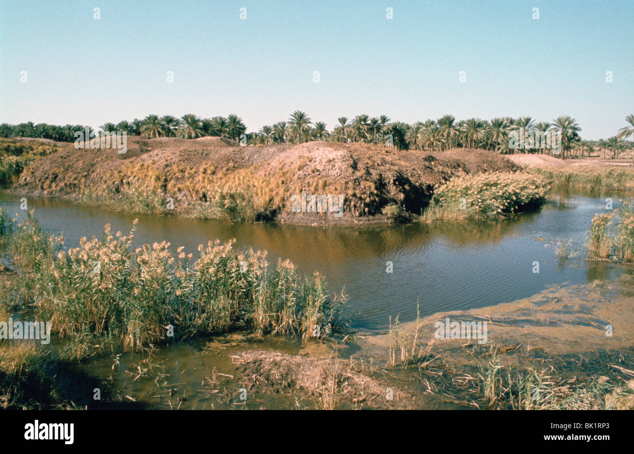 River Tigris by the Tower of Babel, Babylon, Iraq Stock Photo - Alamy