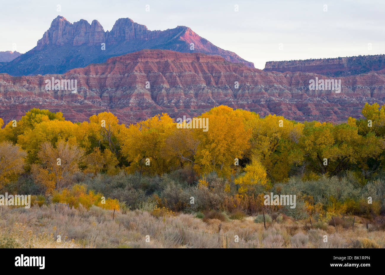 Autumn at Zion National Park Stock Photo - Alamy