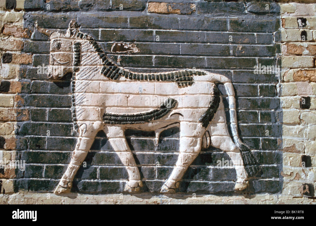 Bull, glazed bricks, Ishtar Gate, Babylon, Iraq Stock Photo - Alamy