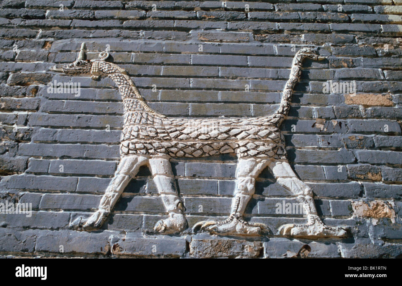 Ishtar Gate Dragon