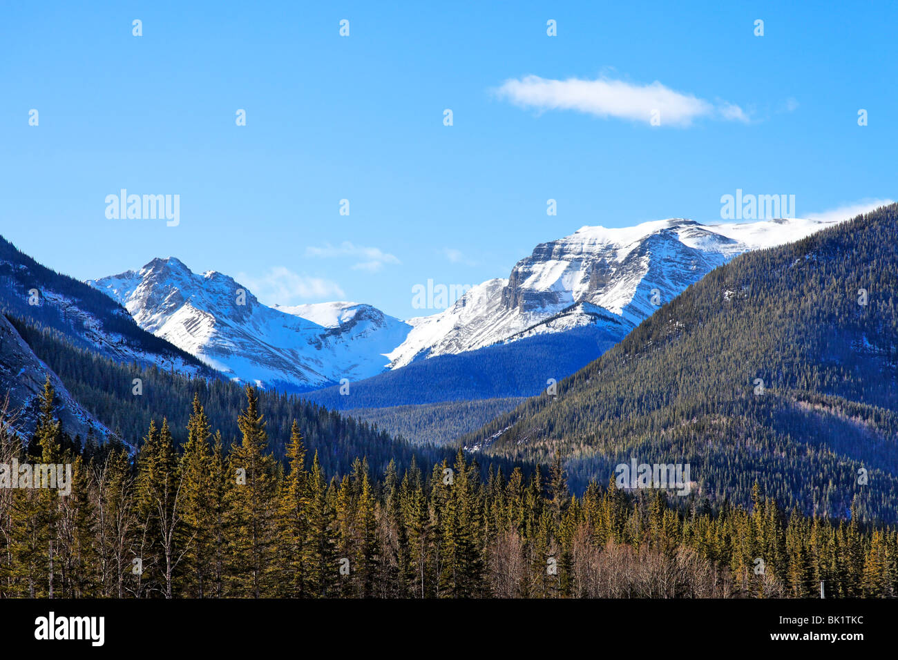 Blue jasper hi-res stock photography and images - Alamy