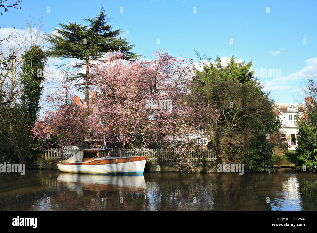 River Wey Navigation, Canal and River system, at Weybridge, Surrey ...