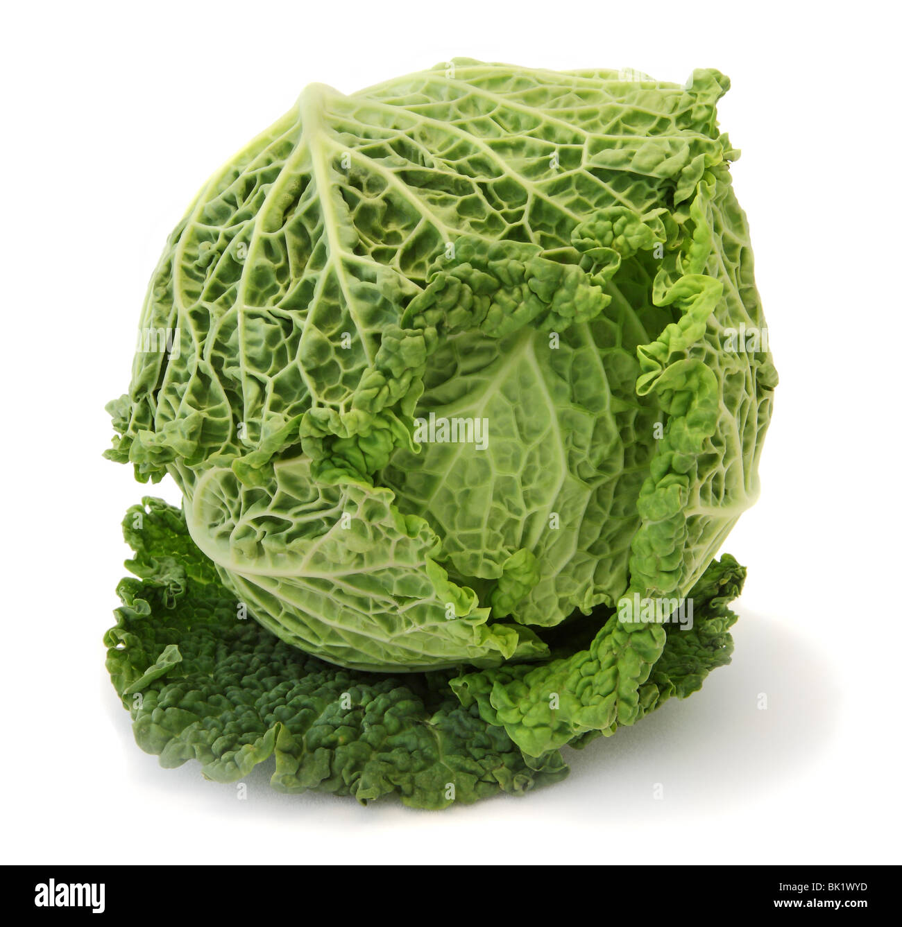 White cabbage dish hi-res stock photography and images - Alamy