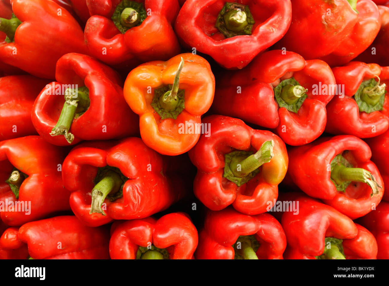 Peter pepper hi-res stock photography and images - Alamy