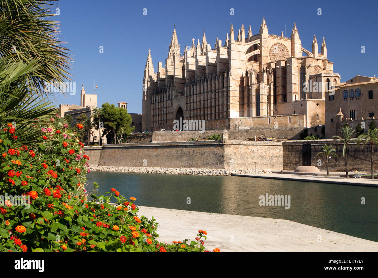 Palma Cathedral, Mallorca, Spain Stock Photo - Alamy