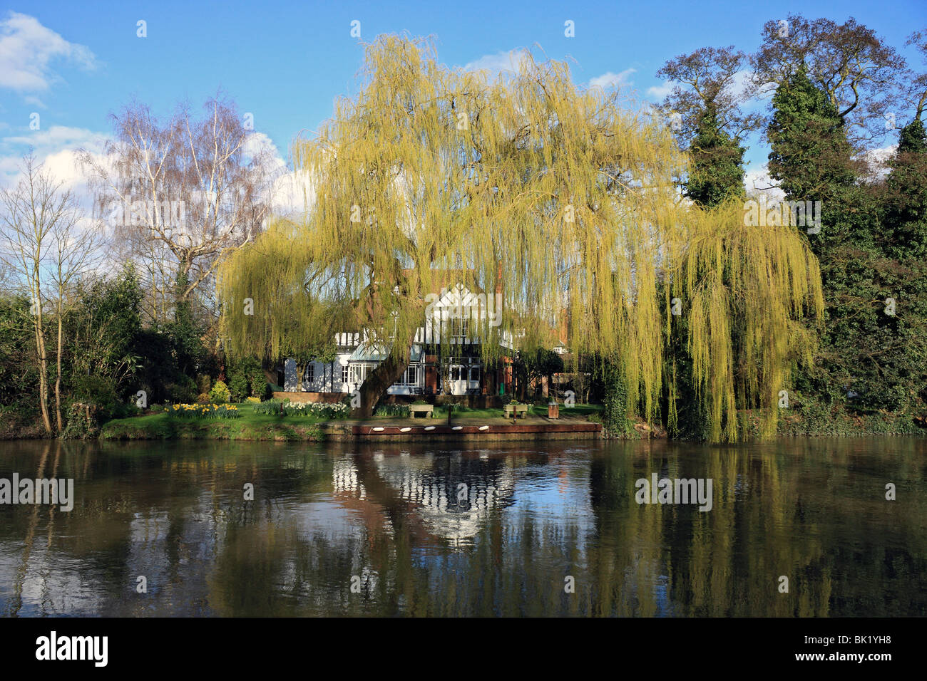 River Wey Navigation, Canal and River system, at Weybridge, Surrey ...