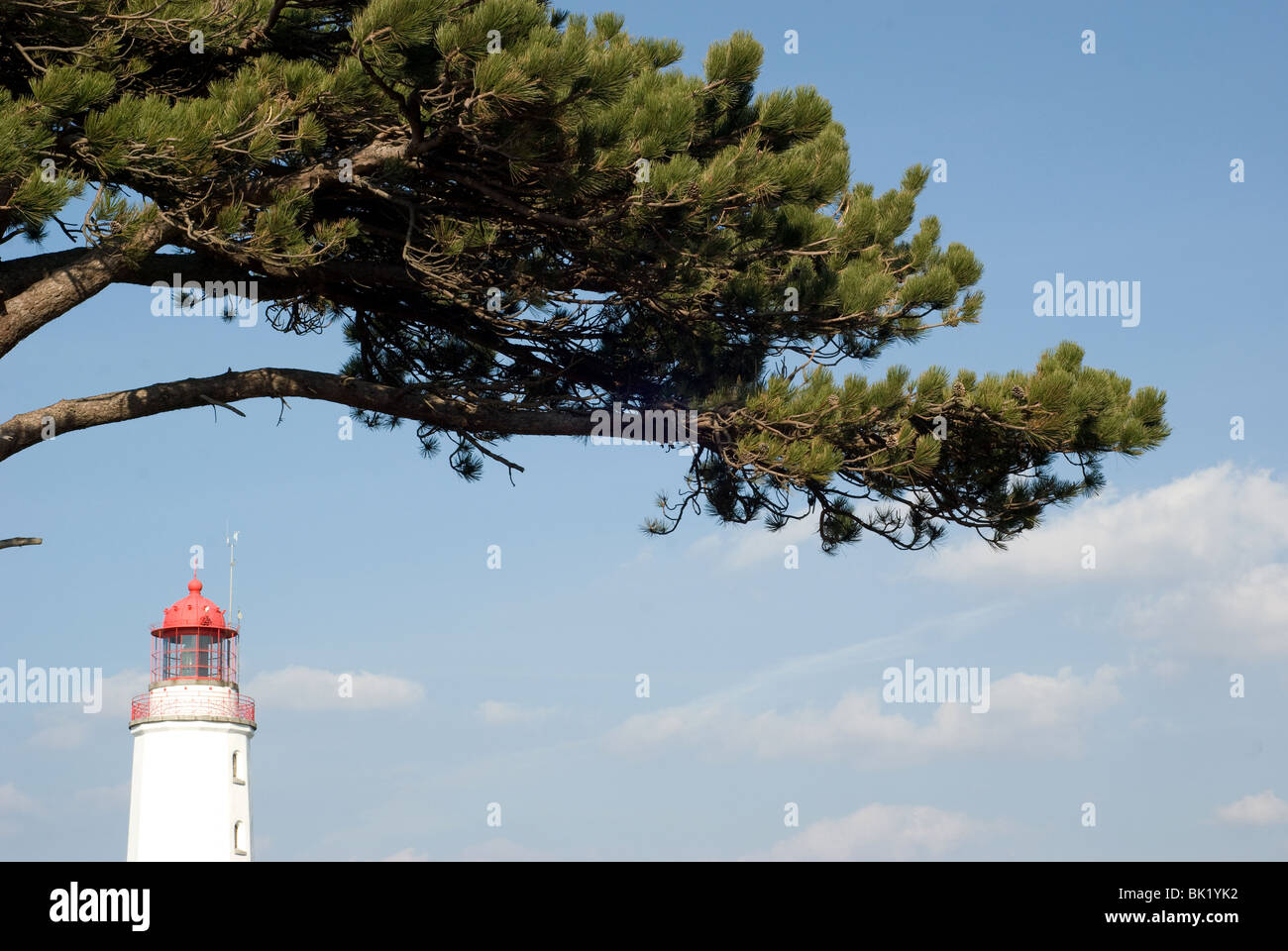 Insel hiddensee hi-res stock photography and images - Alamy