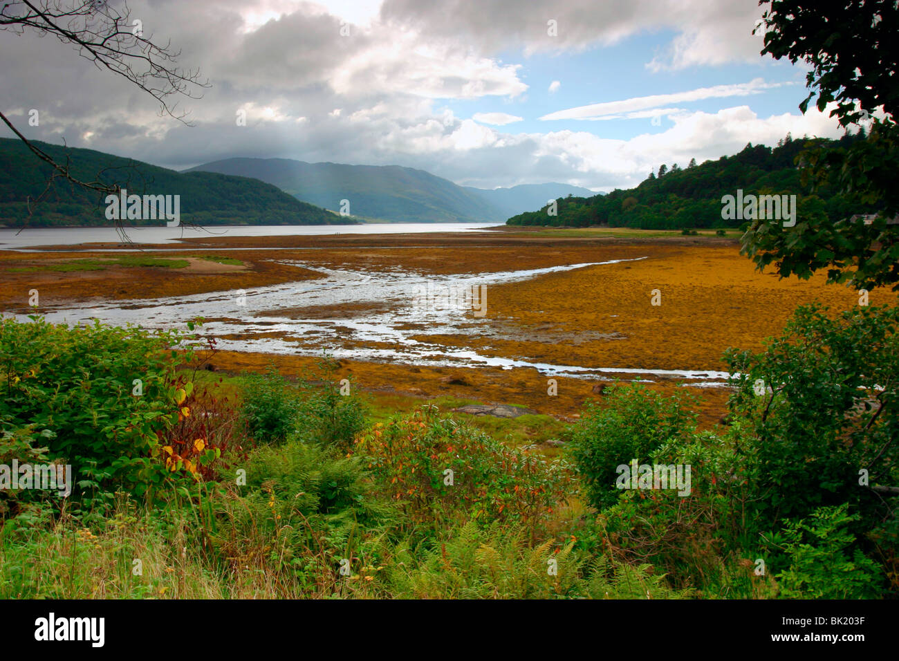 Strontian loch sunart hi-res stock photography and images - Alamy