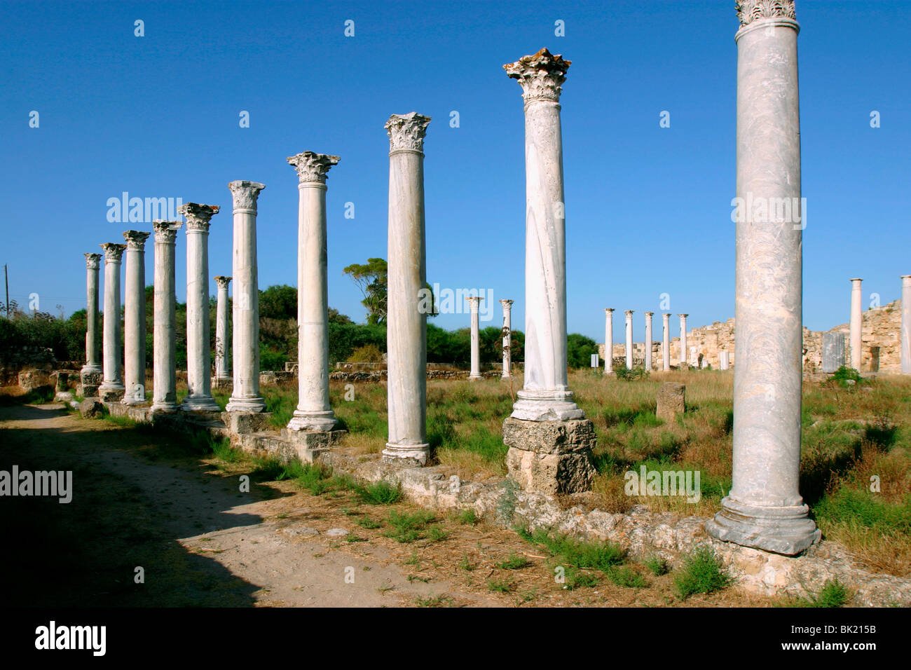 Roman columns, Salamis, North Cyprus Stock Photo - Alamy