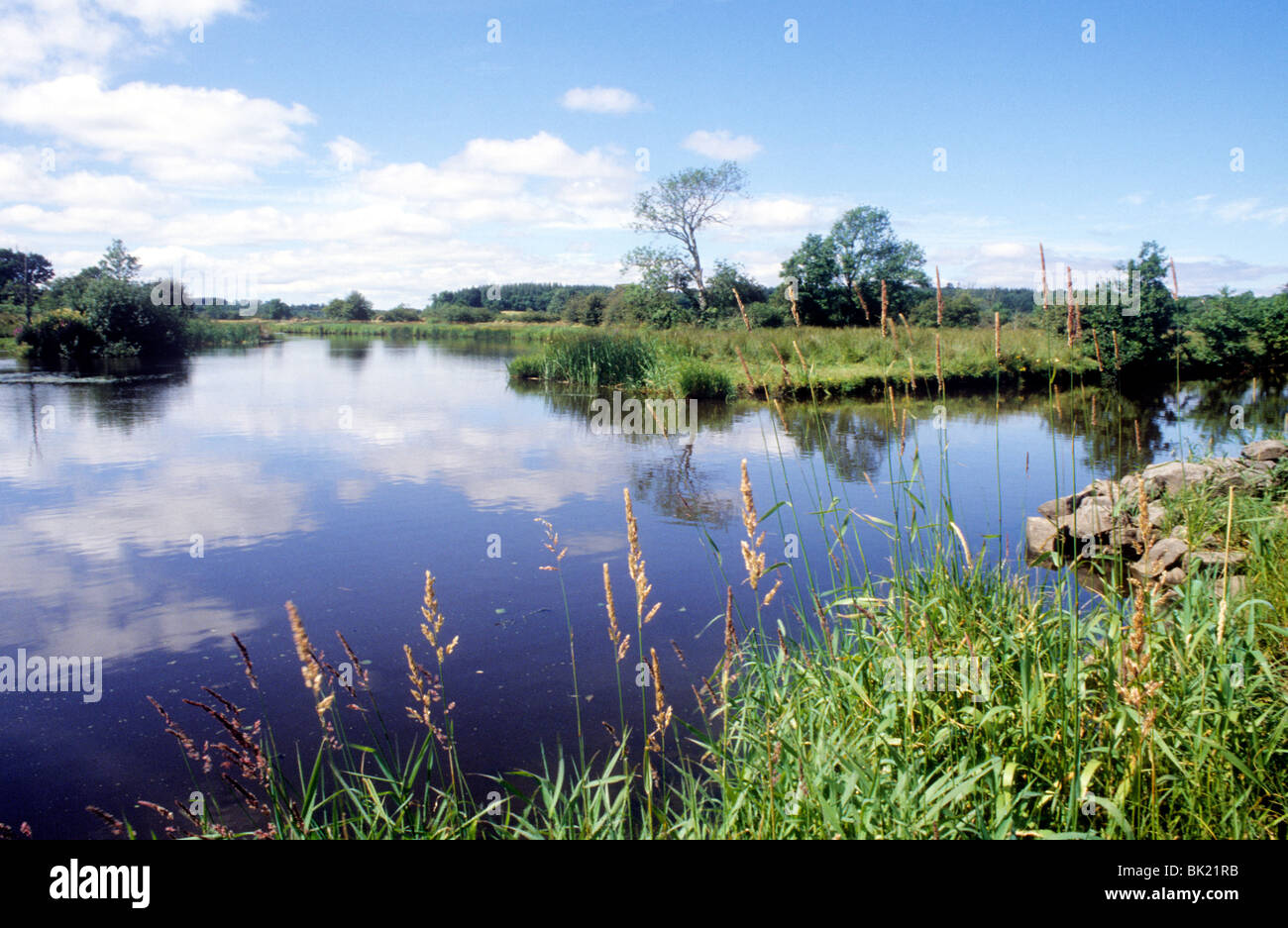 River Shannon, Leitrim Village, County Leitrim, Ireland Eire Irish ...