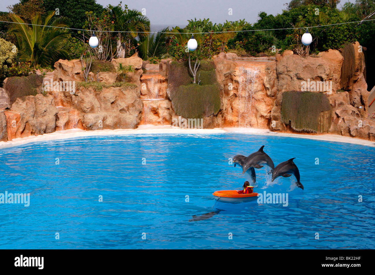 Dolphin show, Loro Parque, Tenerife, Canary Islands, 2007 Stock Photo ...