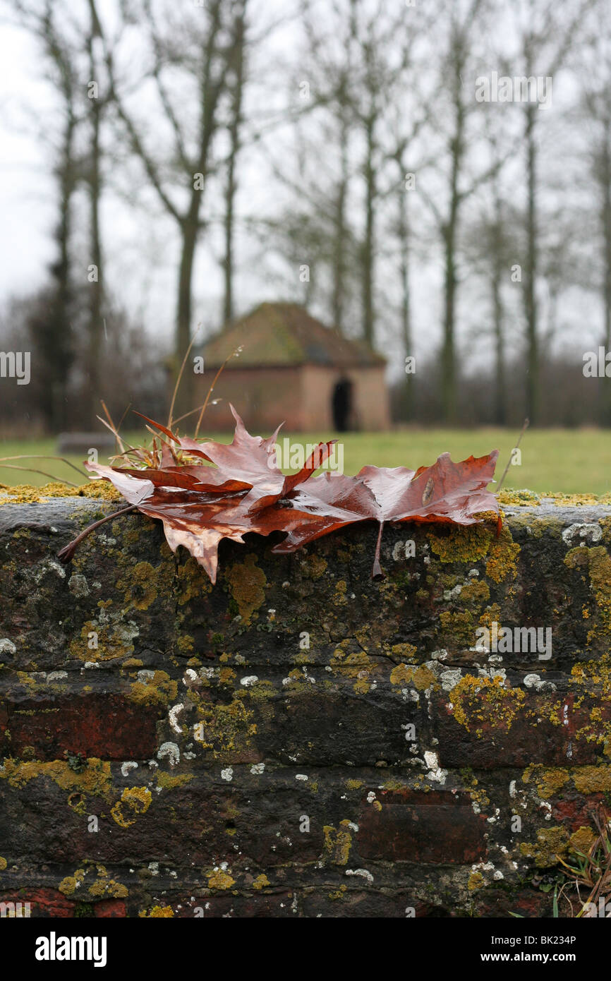 Rural belgium hi-res stock photography and images - Alamy