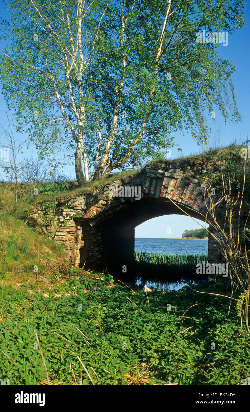 Birch bridge hi-res stock photography and images - Alamy