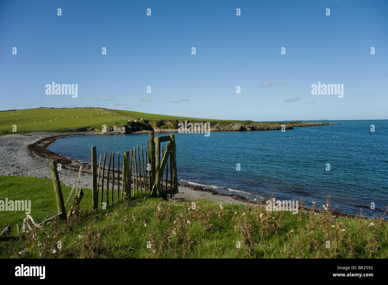 Skerries Lighthouse and Carmel Head from the Anglesey coastal path ...