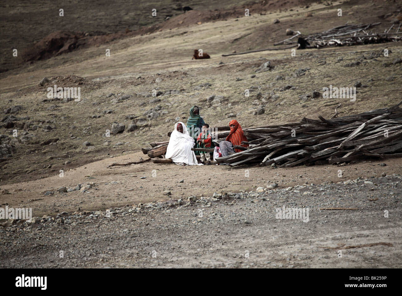 Family Simien National Park Ethiopia Stock Photo - Alamy