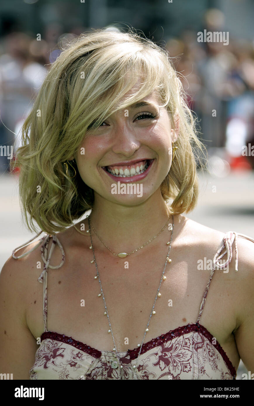 Ant bully premiere hi-res stock photography and images - Alamy