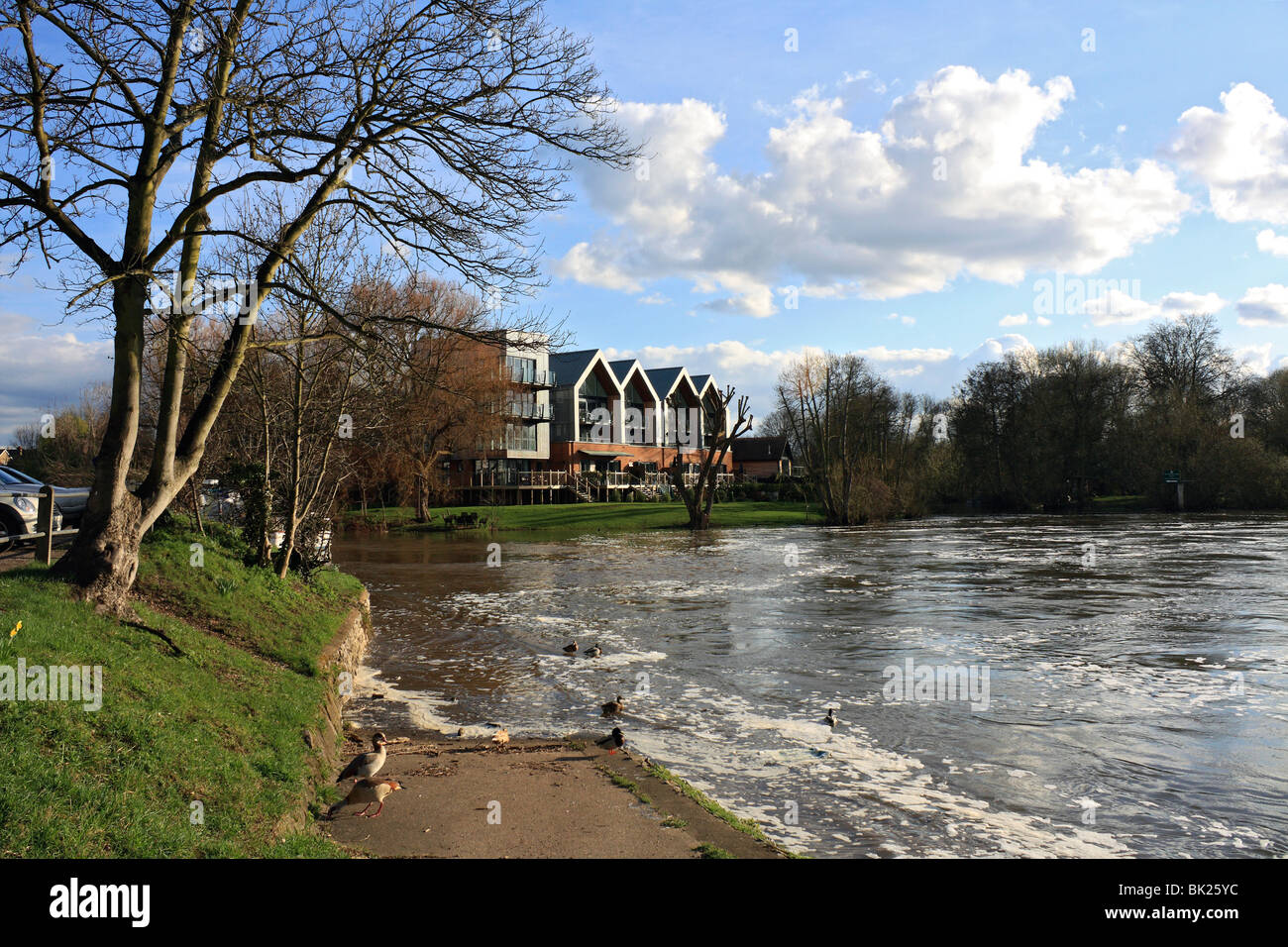 Weybridge surrey hi-res stock photography and images - Alamy