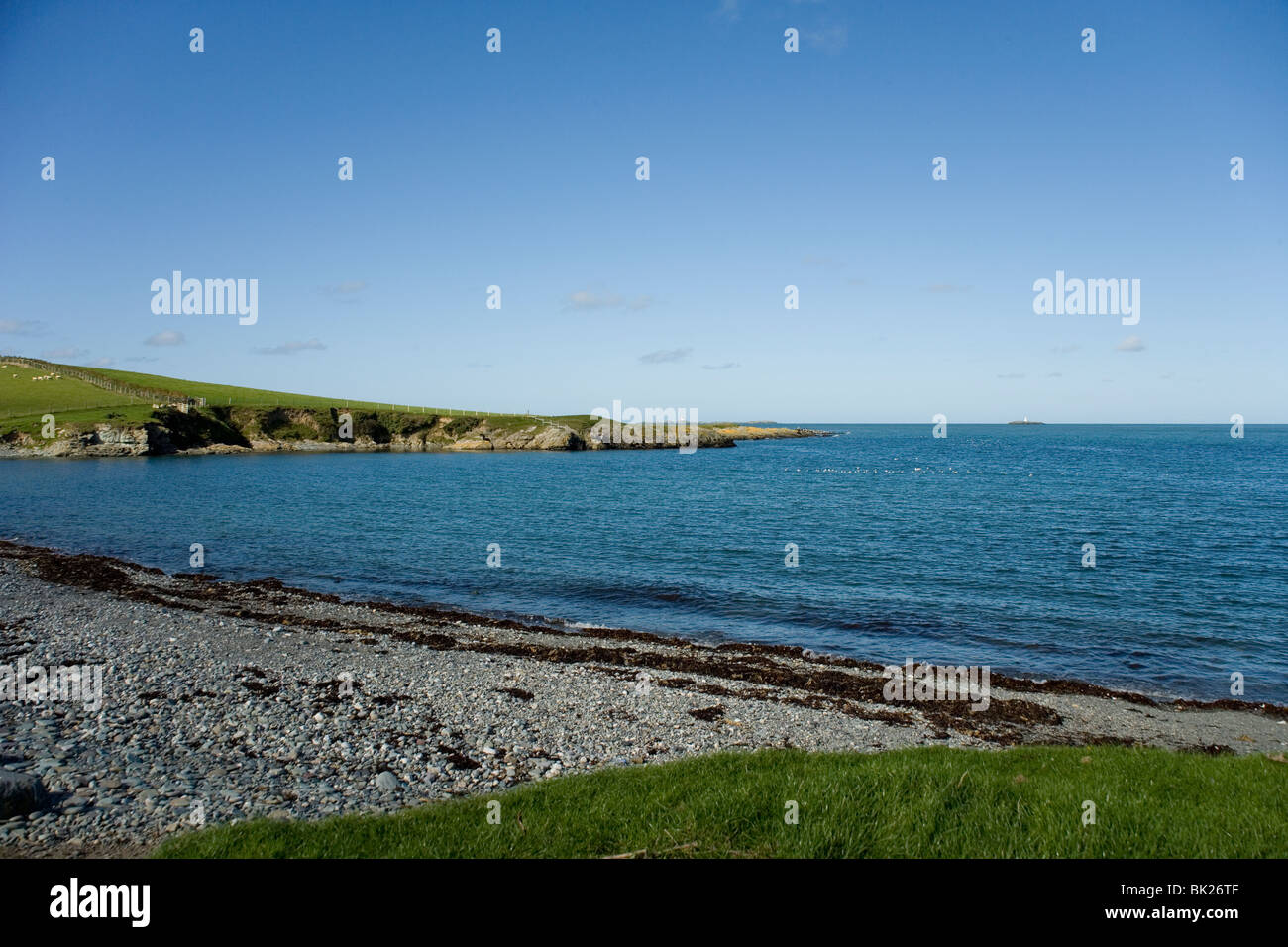 Skerries Lighthouse and Carmel Head from the Anglesey coastal path ...