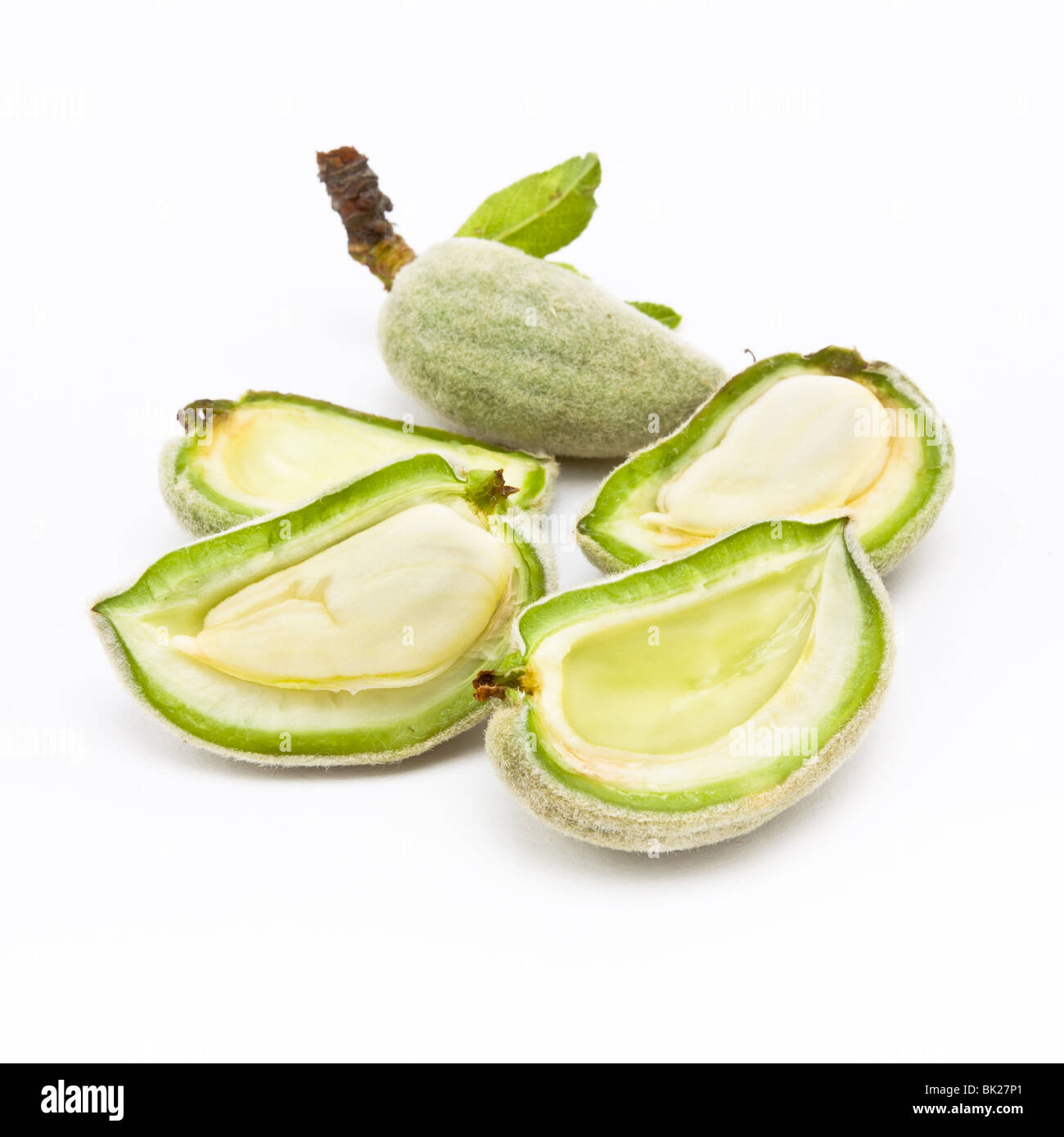 Green Almonds also known as Bitter Almonds isolated against white ...