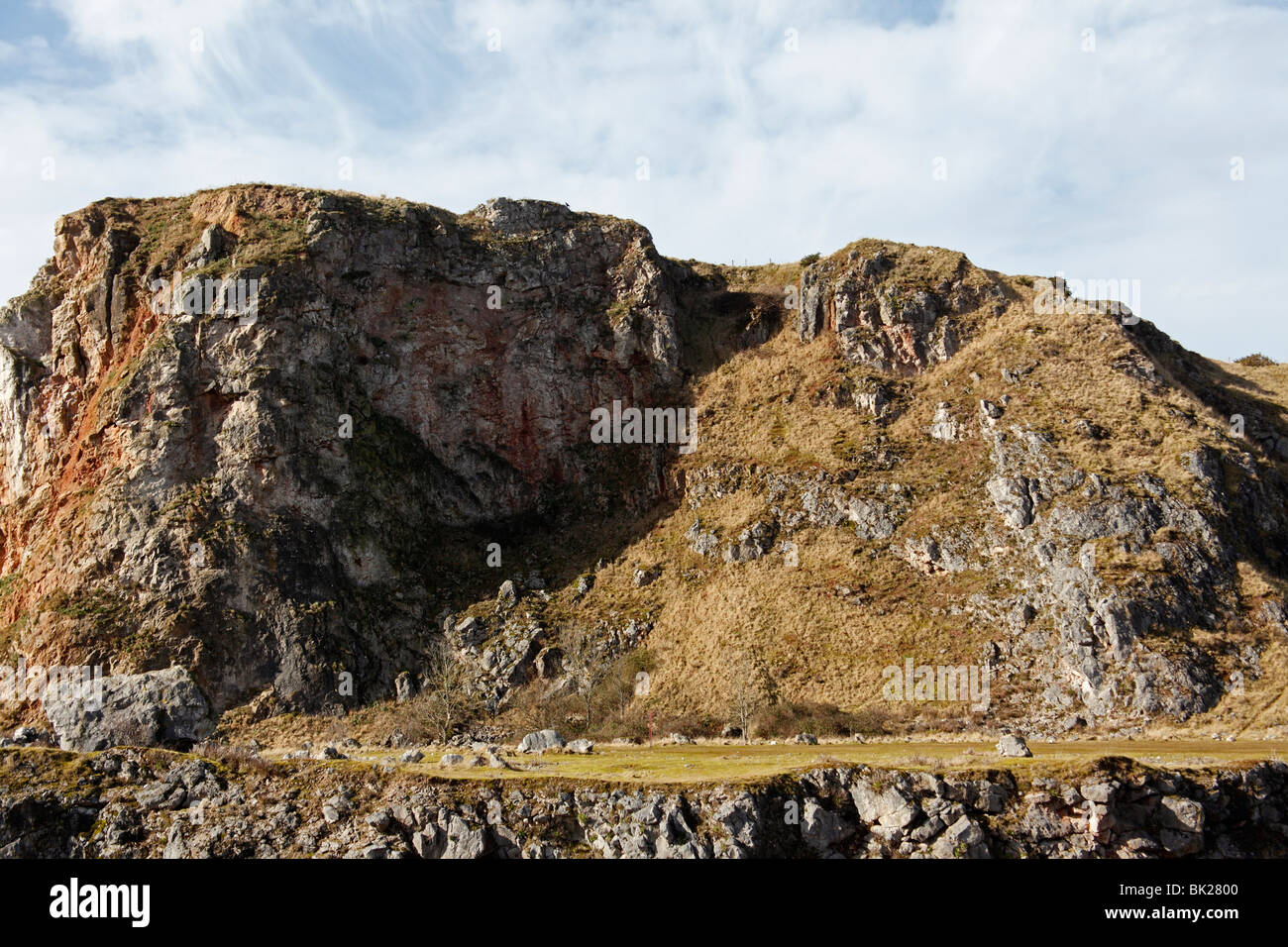 Little orme nature reserve Llandudno in disused limestone quarry Stock Photo - Alamy