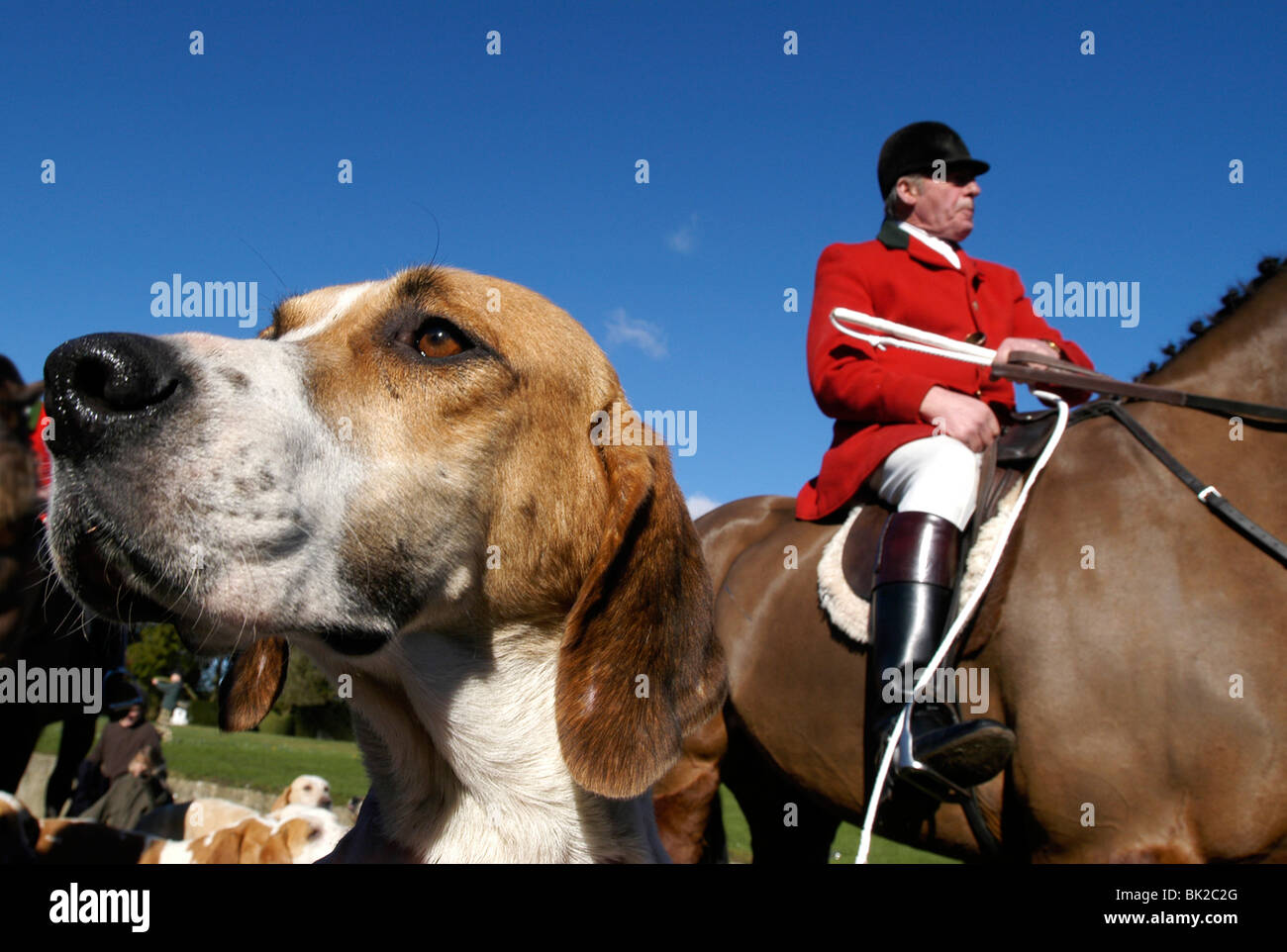First day of hunting ban hi-res stock photography and images - Alamy