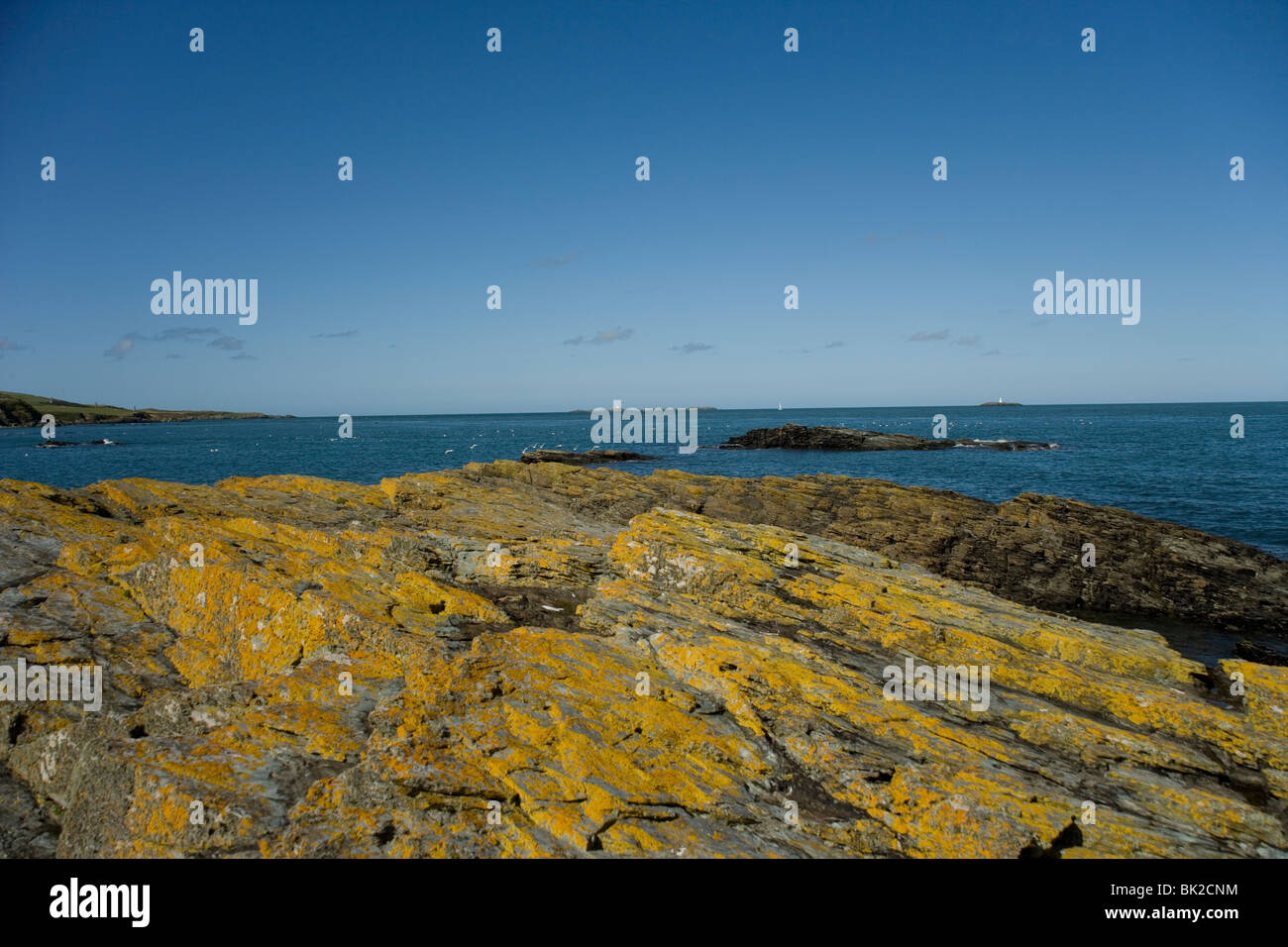 Skerries Lighthouse and Carmel Head from the Anglesey coastal path ...