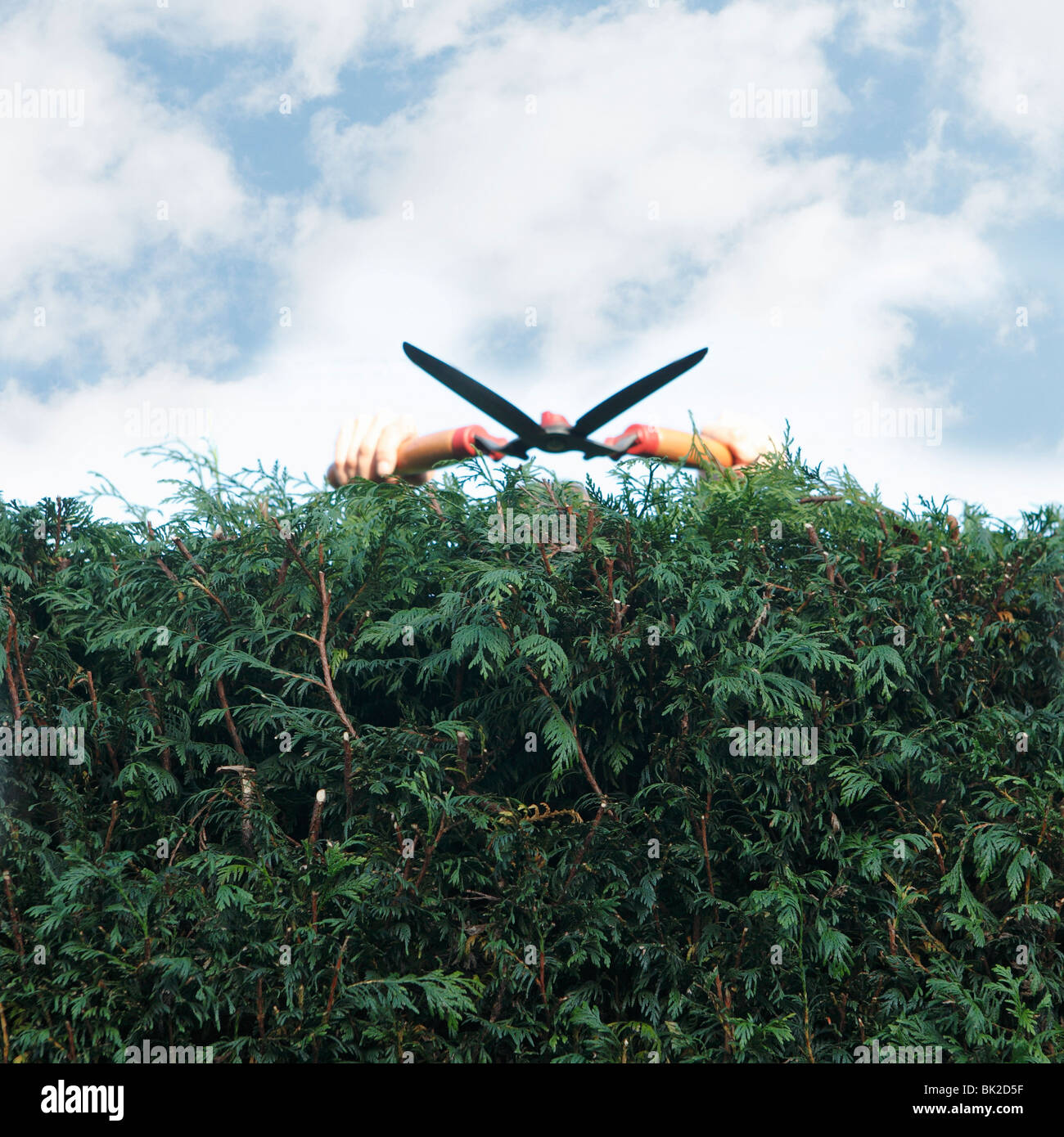 Pruning hedge angle hi-res stock photography and images - Alamy