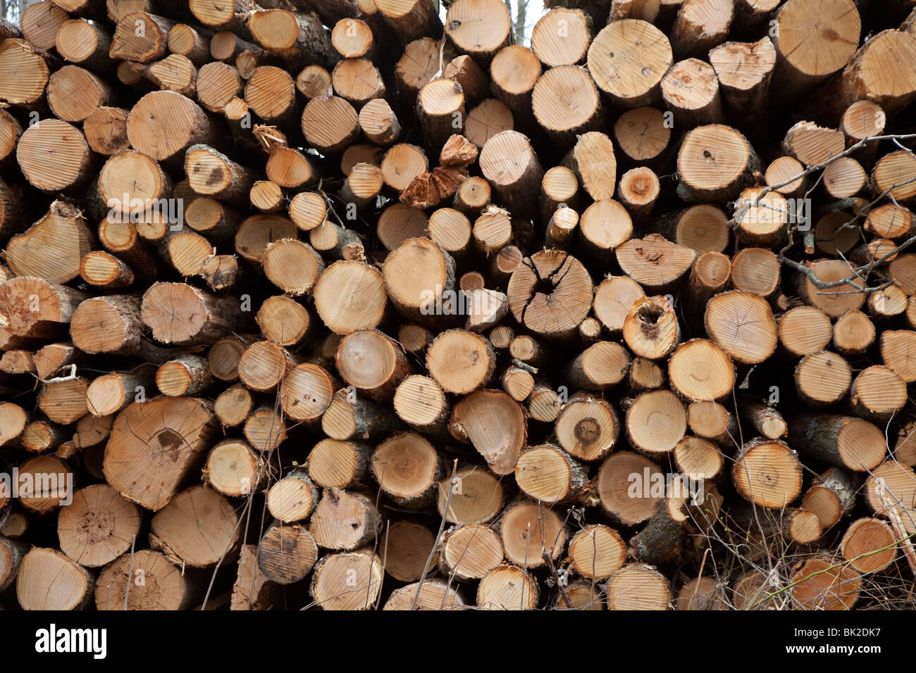 Timber wood log hi-res stock photography and images - Alamy