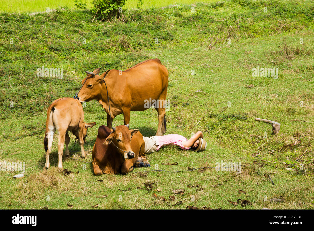 Nap vietnam woman hi-res stock photography and images - Alamy