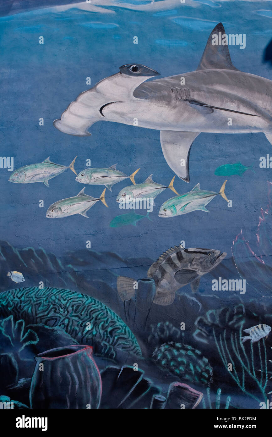 A mural of ocean creatures painted onto a building wall in Key West ...