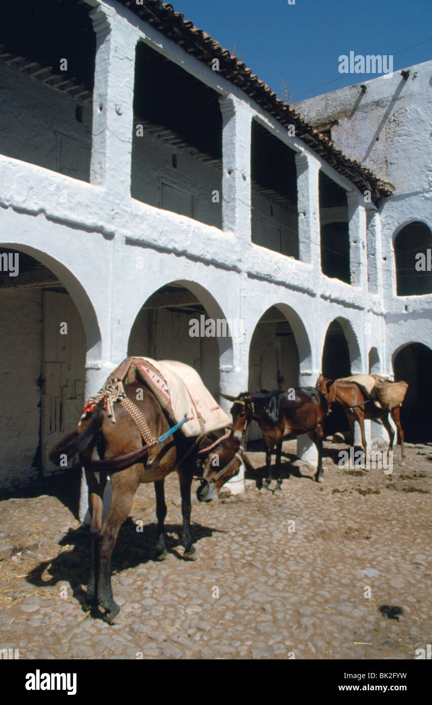 Fondouk, Chefchaouen, Morocco Stock Photo - Alamy