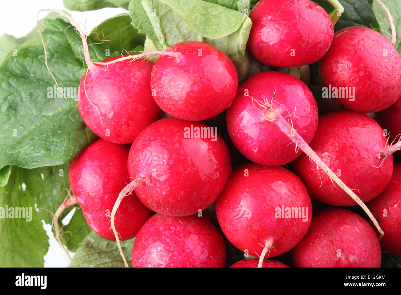 bunch of radishes close up Stock Photo - Alamy