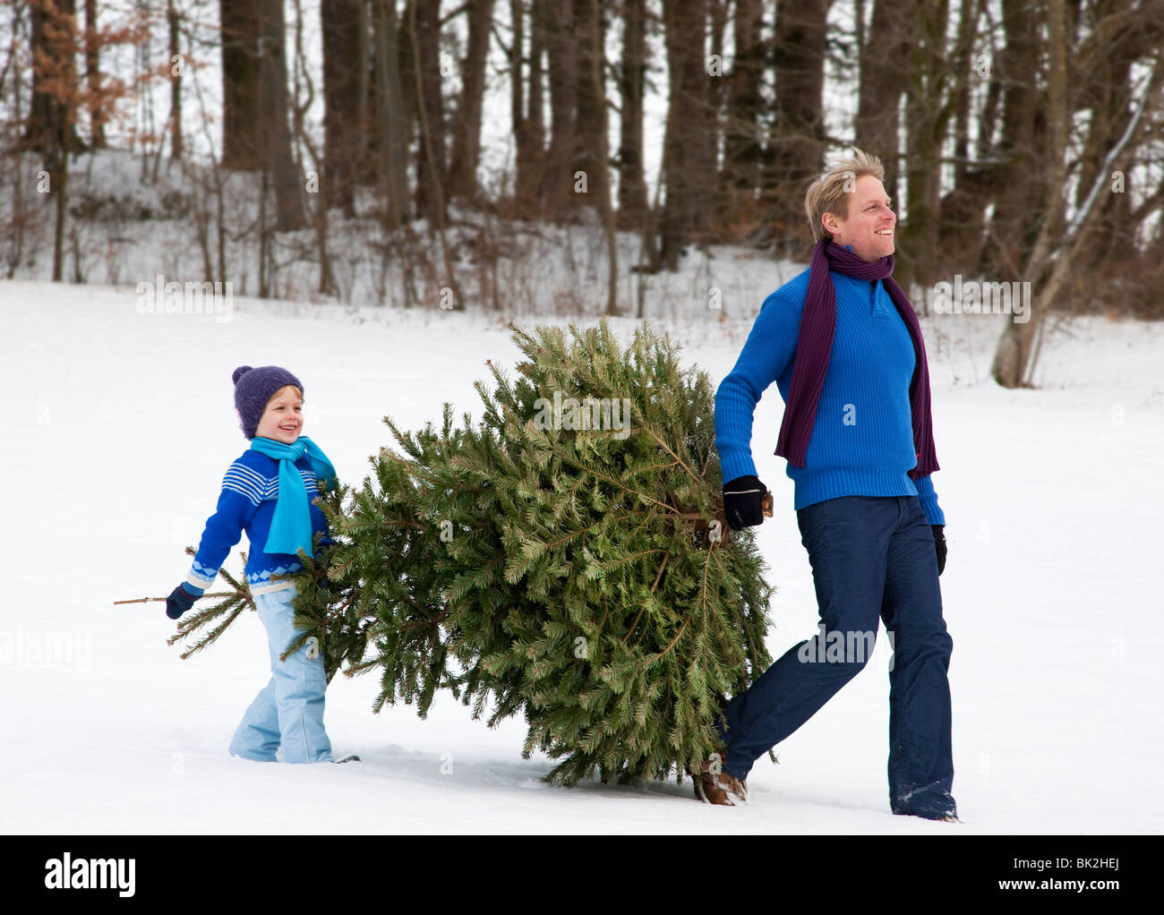 Father and son carrying christmas tree Stock Photo - Alamy